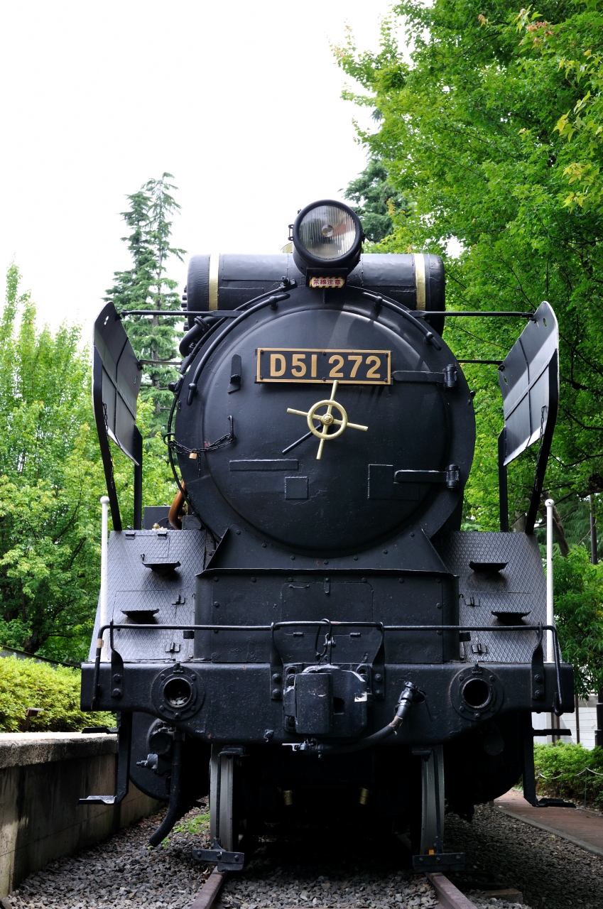 『SLの旅シリーズ第7回目, 東京都区立世田谷公園で静態保存中のD51形272号機 』三軒茶屋・駒沢(東京)の旅行記・ブログ by Medinaさん【フォートラベル】