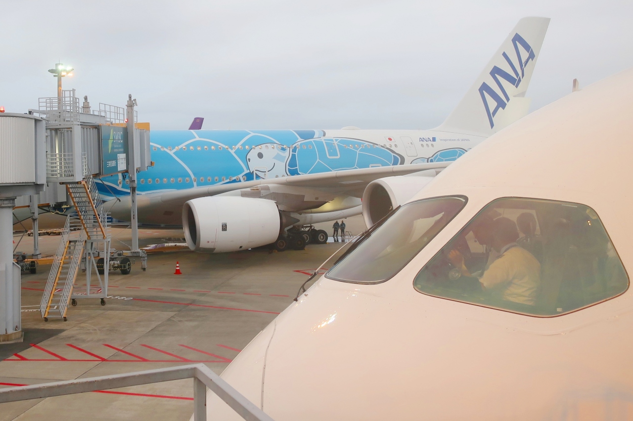 『2020正月 中米3ヶ国遺跡巡りの旅（1）ANA NH180便ビジネスクラスで20年ぶりのメキシコへ』メキシコシティ(メキシコ)の旅行記・ブログ by インディーさん【フォートラベル】