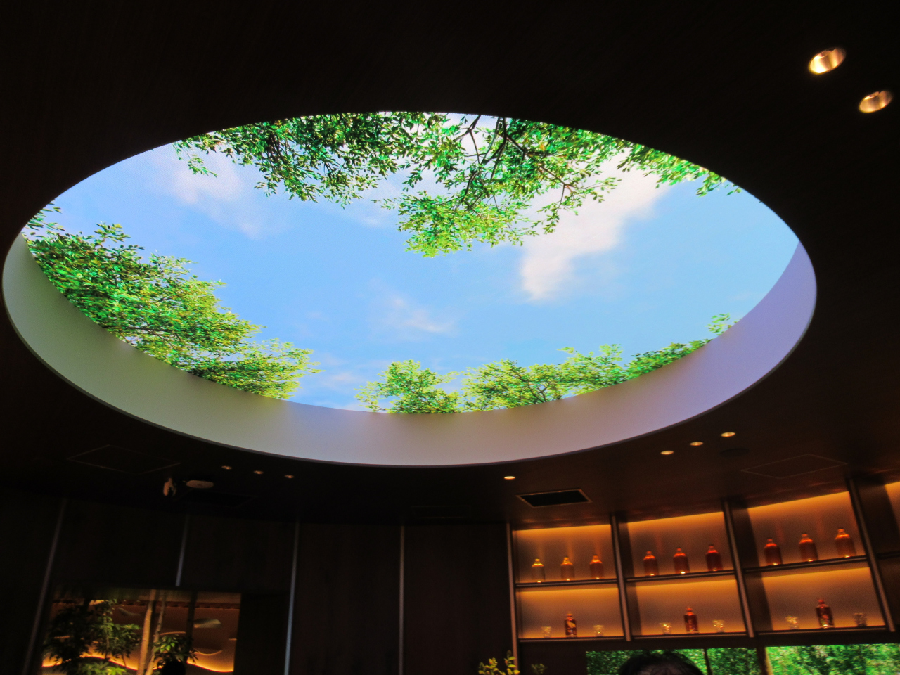 『2025 大阪関西万博にまた行った その8 水空とnull2 いのちのあかし インド ウズベク ブルーオーシャン編』大阪ベイエリア(大阪)の旅行記・ブログ by ruiさん【フォートラベル】