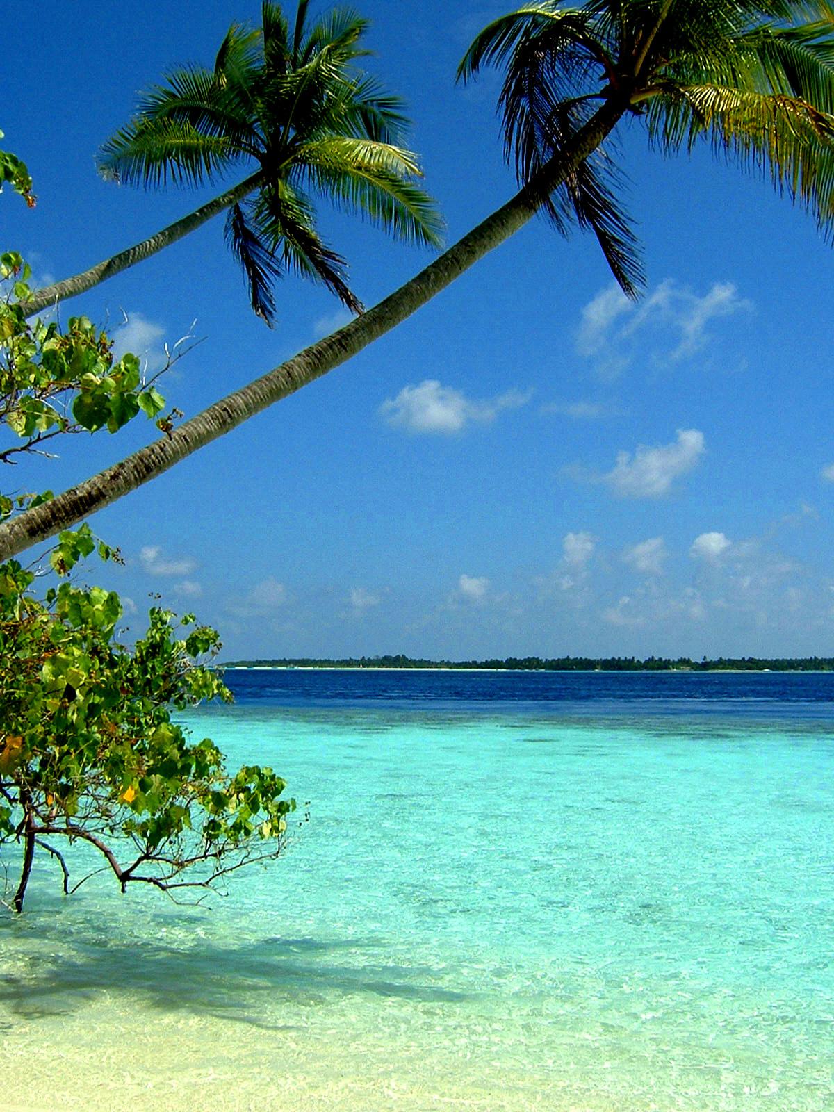 『☆楽園MALDIVES(VILLIVARU)ヴィリバル・滞在記’04』モルディブの旅行記・ブログ by j-ryuさん【フォートラベル】