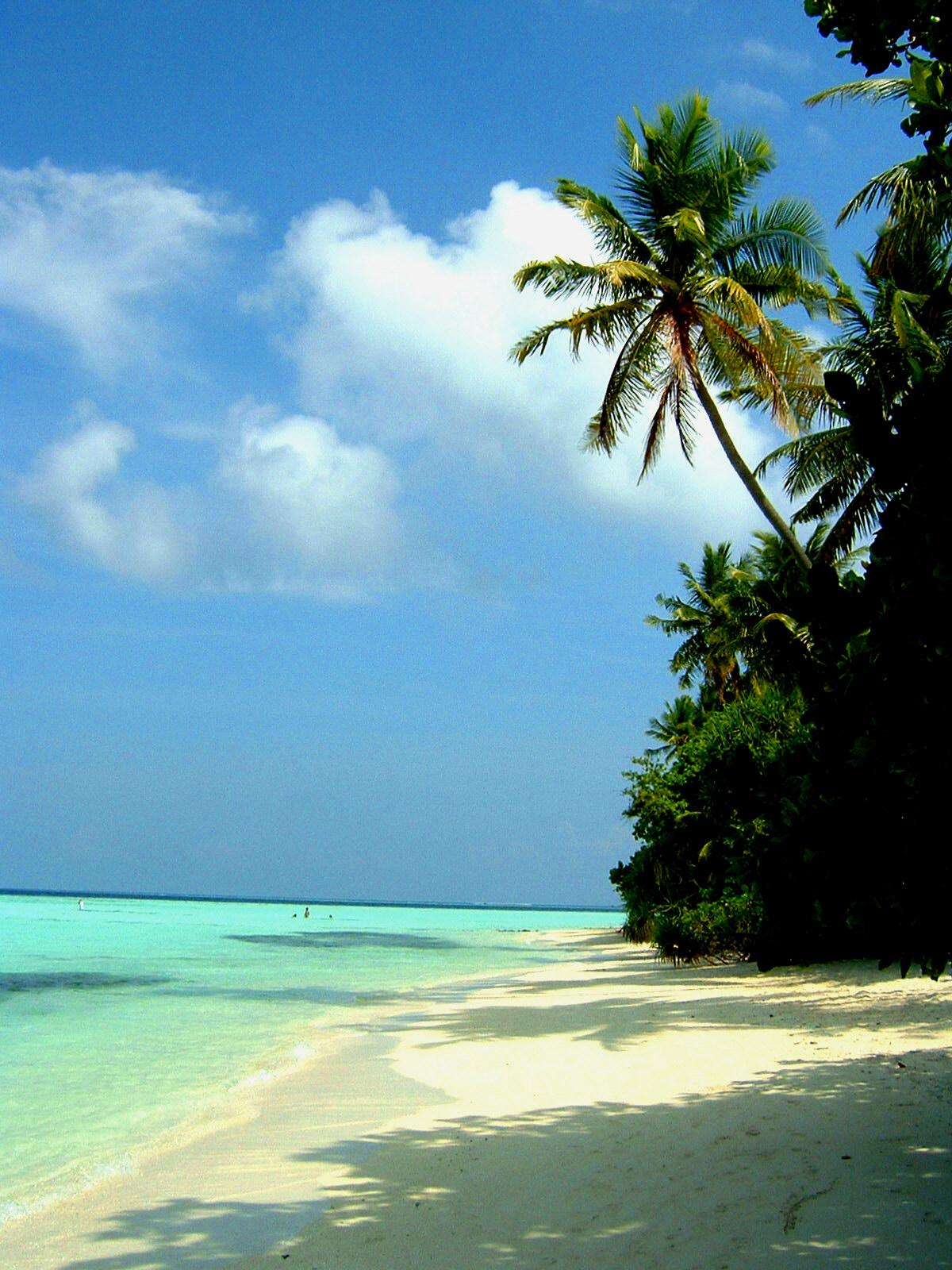 『☆楽園MALDIVES(VILLIVARU)ヴィリバル・滞在記’04』モルディブの旅行記・ブログ by j-ryuさん【フォートラベル】