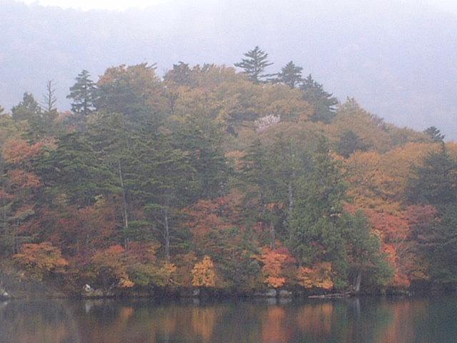 『日光 （2001.10）』栃木県の旅行記・ブログ by kumazoさん【フォートラベル】