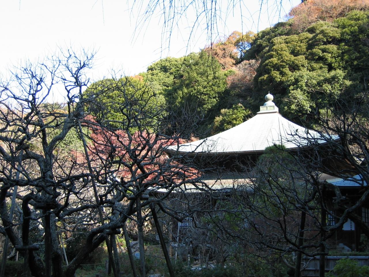 『紅葉2005／鎌倉～瑞泉寺・獅子舞』神奈川県の旅行記・ブログ by 一花一葉さん【フォートラベル】