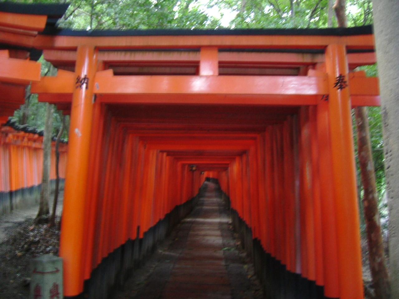『伏見稲荷と石庭めぐり』京都の旅行記・ブログ by あさひさん【フォートラベル】