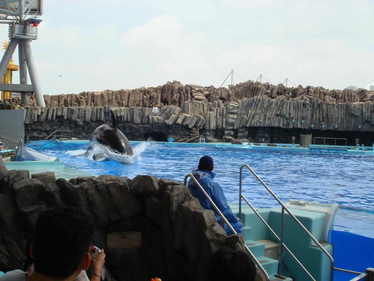『水族館同好会活動記録NAGOYA合宿【シャチ編】』名古屋港(愛知県)の旅行記・ブログ by etsuさん【フォートラベル】