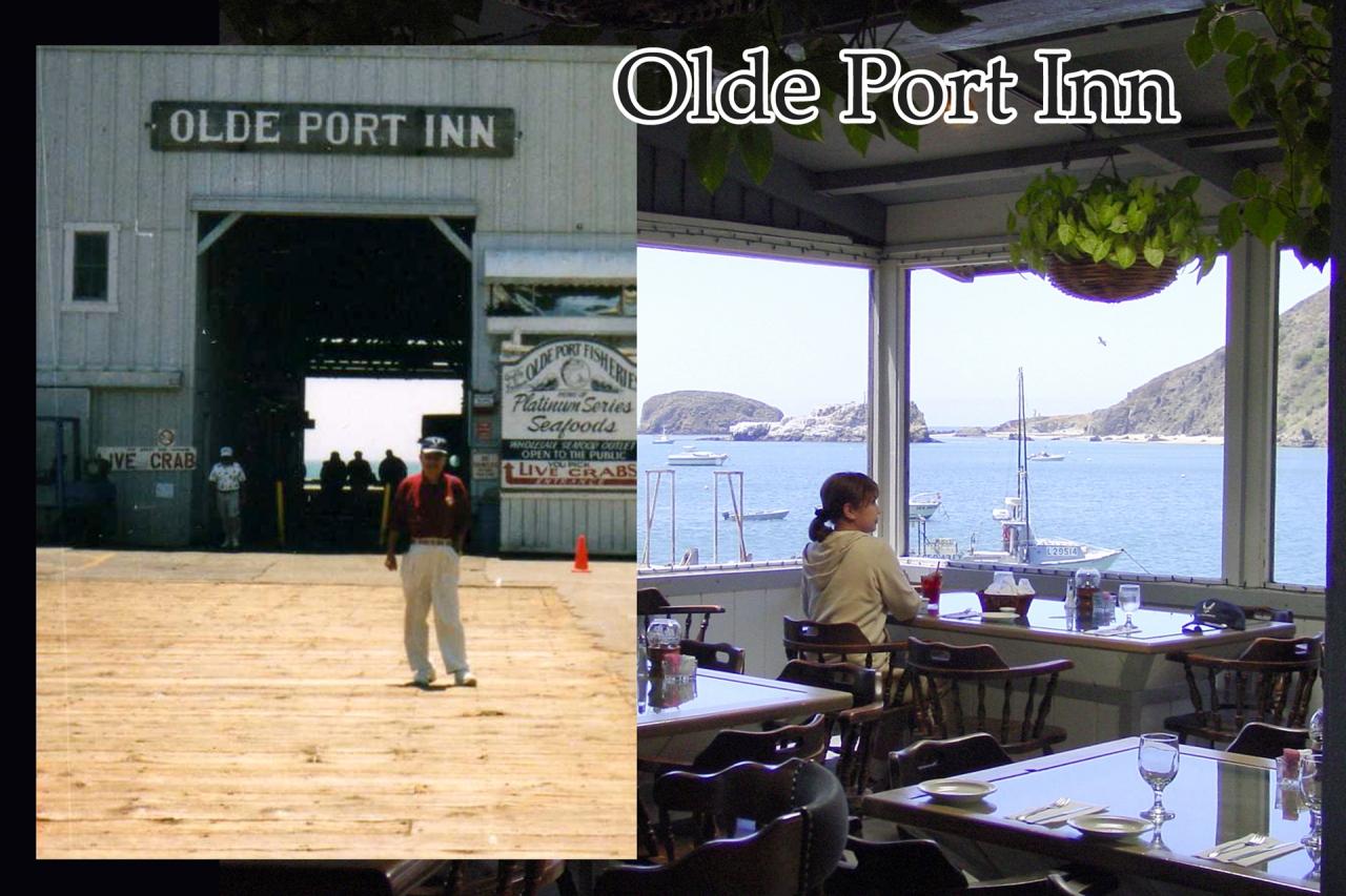 『2003 Central Coast』カリフォルニア州(アメリカ)の旅行記・ブログ by サボ10さん【フォートラベル】