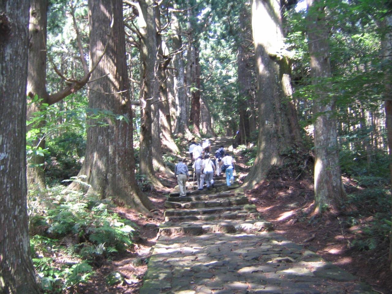 『南紀・白浜』和歌山県の旅行記・ブログ by ハッピーターンさん【フォートラベル】