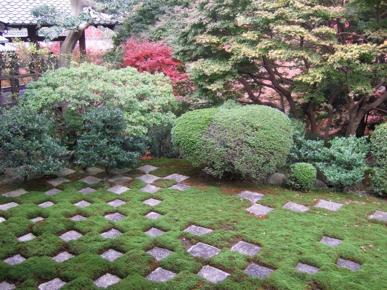 『京都の紅葉』京都の旅行記・ブログ by カピートさん【フォートラベル】