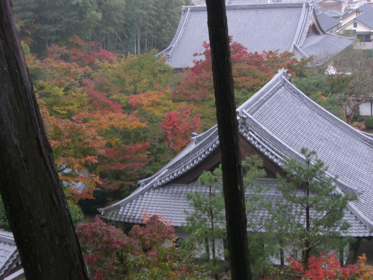 『そうだ、と思い立って秋の今日へ’06(紅葉）』京都の旅行記・ブログ by つぼっくさん【フォートラベル】