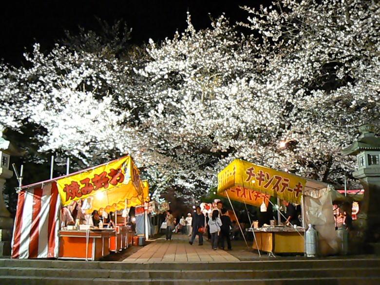 『春を彩る幻想的な宴 三嶋大社の夜桜』三島(静岡県)の旅行記・ブログ by ミシマさん【フォートラベル】