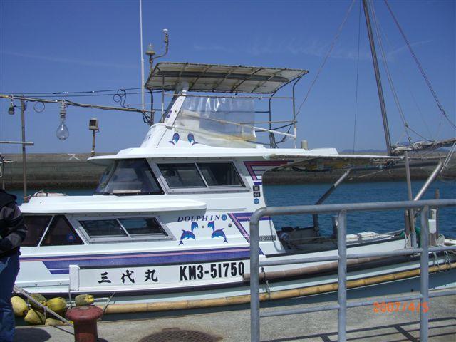 『Amakusa:天草イルカウォッチング』天草諸島(熊本県)の旅行記・ブログ by ちょこっと海外さん【フォートラベル】