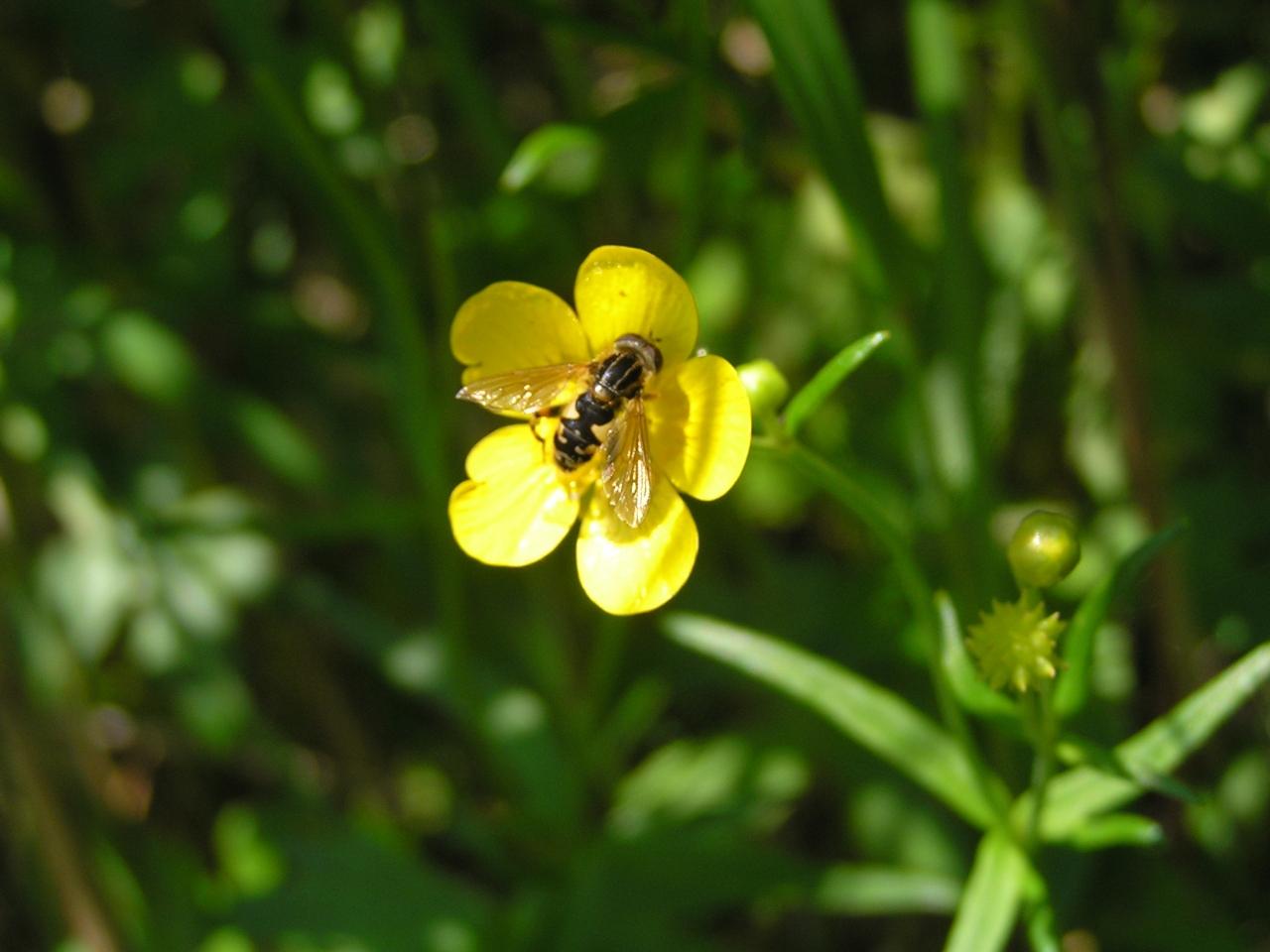 『7月7日 北の海辺の楽園を巡る：風連湖 野付半島』標津(北海道)の旅行記・ブログ by ツーリスト今中さん【フォートラベル】