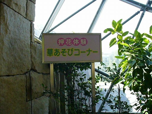 『☆★どたばた家族♪休暇村に泊まる 蒜山から大山への旅?【とっとり花回廊 編】』大山周辺(鳥取県)の旅行記・ブログ by ちょりりんまんさん ...