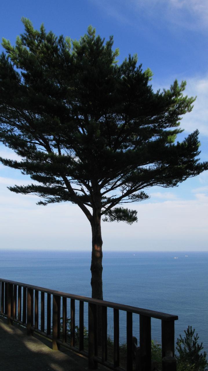 『03三陸縦走 北山崎断崖 ☆紺碧の海に聳え立つ絶壁群』野田・普代・田野畑(岩手県)の旅行記・ブログ by マキタンさん【フォートラベル】