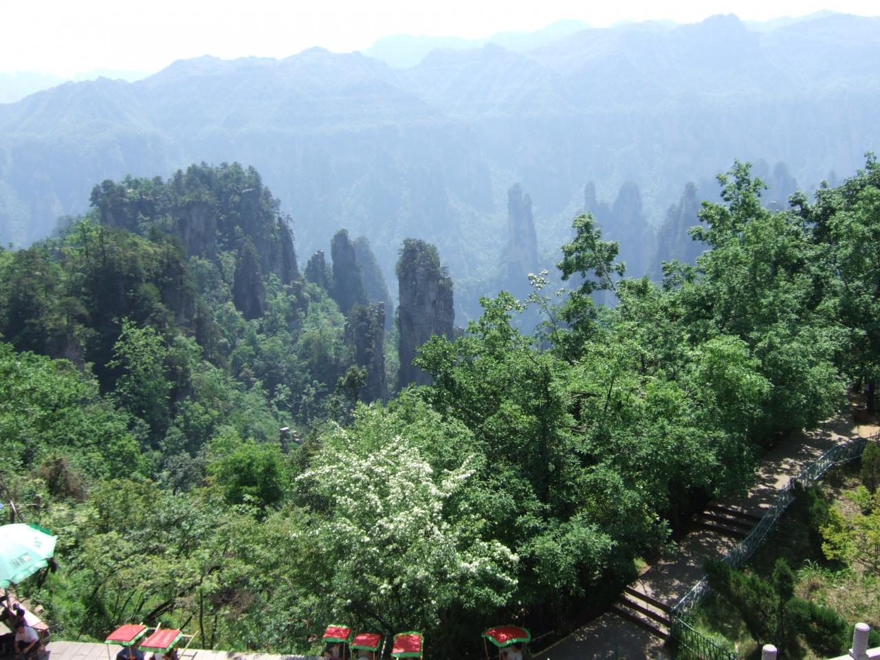 『中国旅行（張家界編）』張家界(中国)の旅行記・ブログ by 無知無謀さん【フォートラベル】