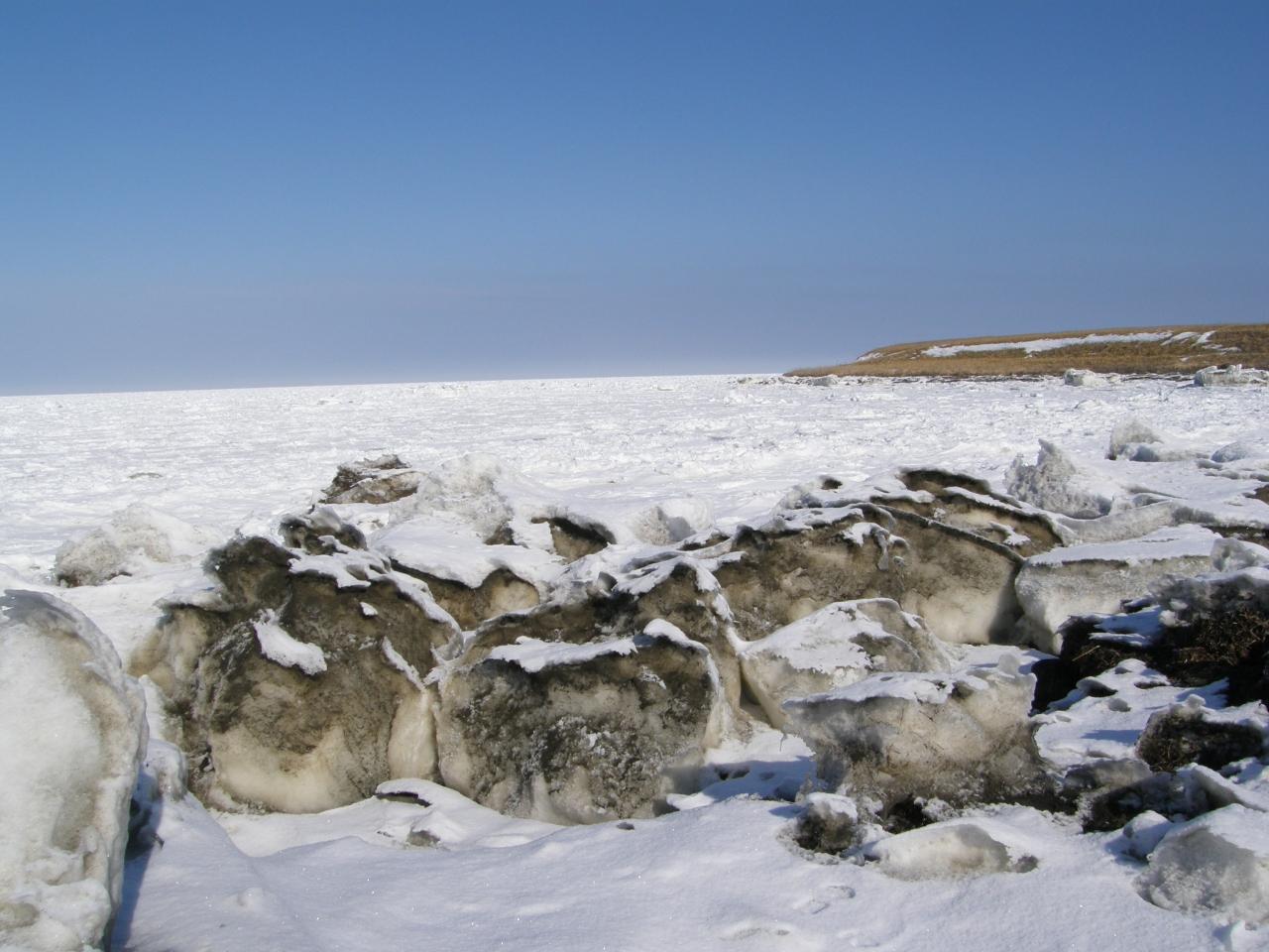 『3月8日 流氷をたずねて（1日目） 納沙布岬～野付半島』根室(北海道)の旅行記・ブログ by ツーリスト今中さん【フォートラベル】