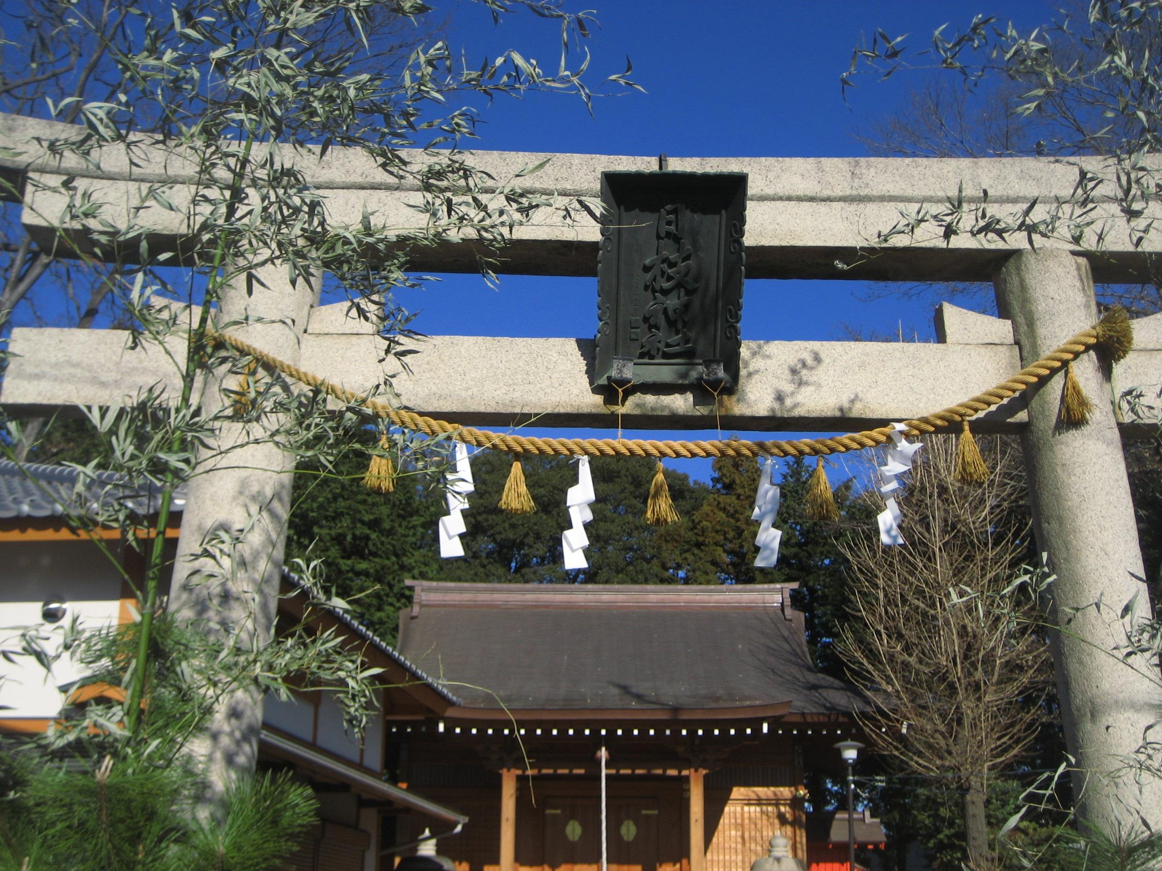 『正月3日のだるま市の川越喜多院』川越(埼玉県)の旅行記・ブログ by まみさん【フォートラベル】