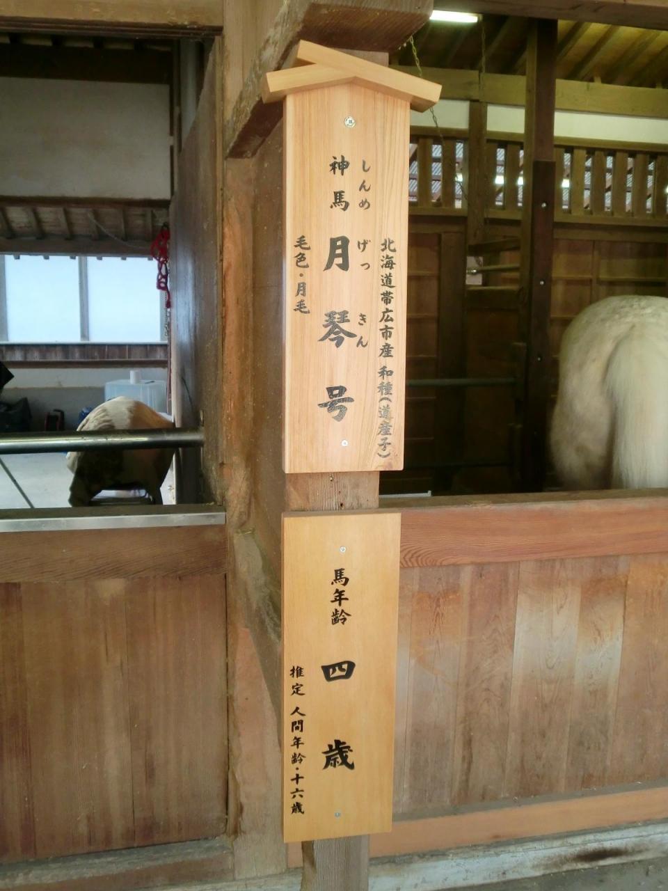 『四国よいとこ一度はおいで（こんぴらさん参り★2日目/香川県）』琴平・金刀比羅宮周辺(香川県)の旅行記・ブログ by 馬鹿凡人さん【フォートラベル】