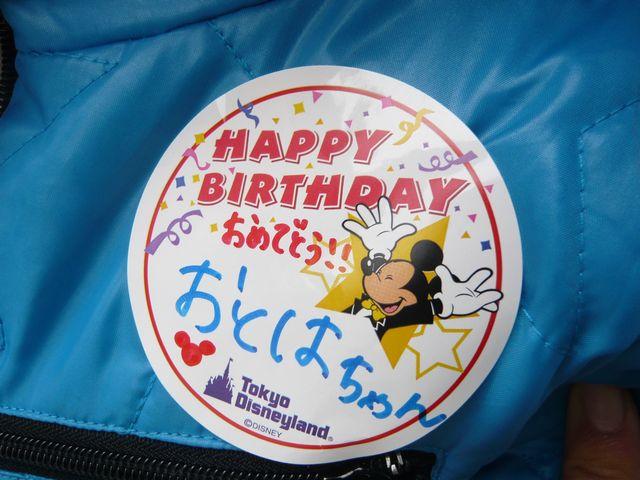 『なにわのおと姫、ディズニーランドへ行く!!』千葉県の旅行記・ブログ by ももちんさん【フォートラベル】