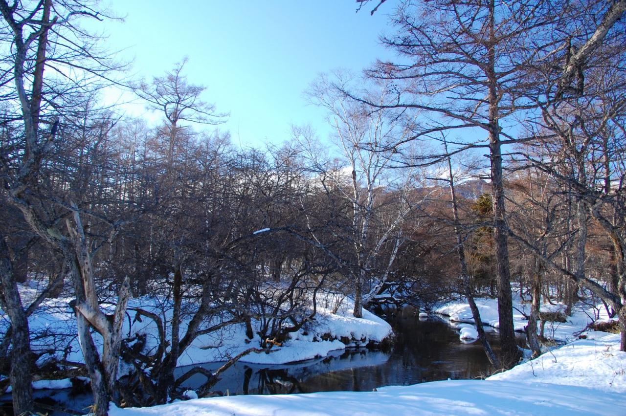 『奥日光でスノーシューハイキング♪』日光湯元温泉(栃木県)の旅行記・ブログ by ralphinさん【フォートラベル】