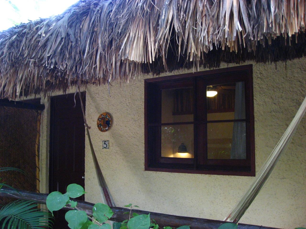 『メキシカンカリブ旅行記? ～セノーテダイビング part?』プラヤ・デル・カルメン(メキシコ)の旅行記・ブログ by rikaさん【フォートラベル】
