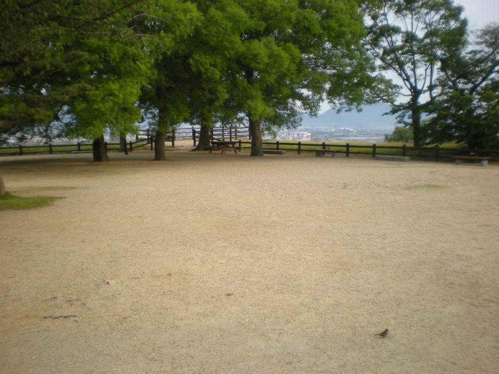 『香川出張旅行。丸亀へ。』丸亀・宇多津・多度津(香川県)の旅行記・ブログ by ぶうちゃんさん【フォートラベル】