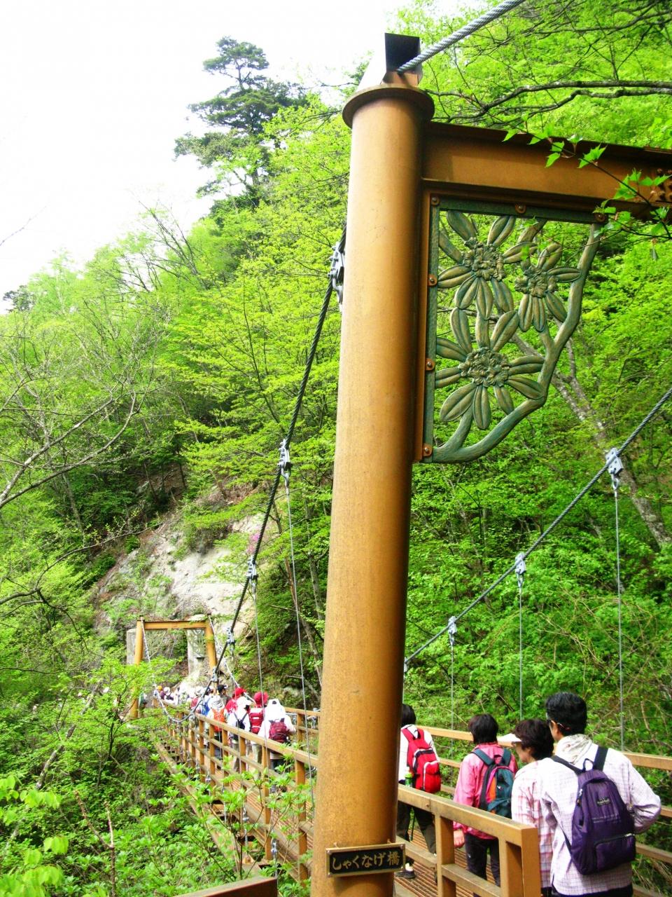 『西沢渓谷-4 アズマシャクナゲ群生地から大展望台へ ☆旧トロッコ道を』勝沼・塩山(山梨県)の旅行記・ブログ by マキタン2さん【フォートラベル】