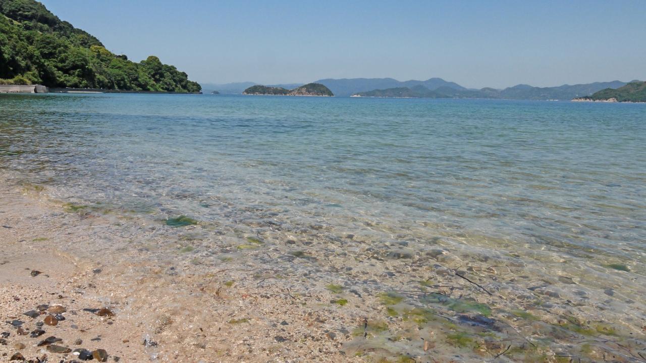 『2010.5岡山学会旅行4-大山祇神社，大三島の海岸』しまなみ海道（周辺の島々）(愛媛県)の旅行記・ブログ by SUOMITAさん ...