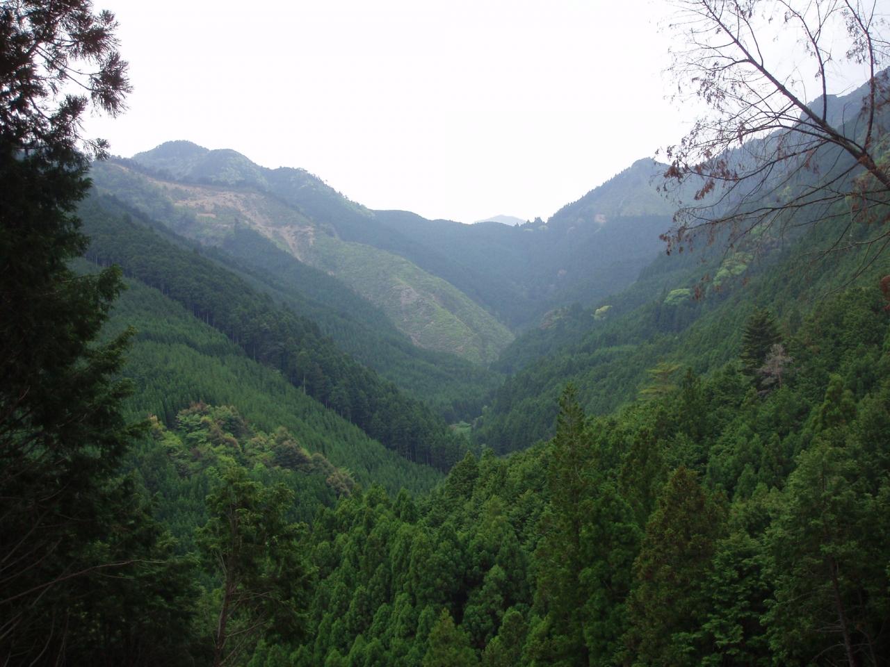 『熊野古道2007旅行記 【3】中辺路』熊野本宮・湯の峰温泉(和歌山県)の旅行記・ブログ by アイガーさん【フォートラベル】