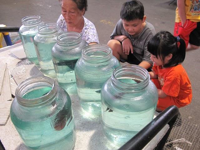 『ノスタルジックな街角から ～マレーシア・バトゥパハ（Batu Pahat）でじゃらんじゃらん～』その他の都市(マレーシア)の旅行記・ブログ ...