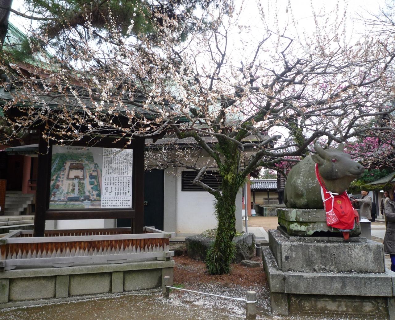 ロイヤルオークホテル スパ＆ガーデンズ」＆「北野天満宮」』大津(滋賀県)の旅行記・ブログ by ピノコ＆コトンさん【フォートラベル】