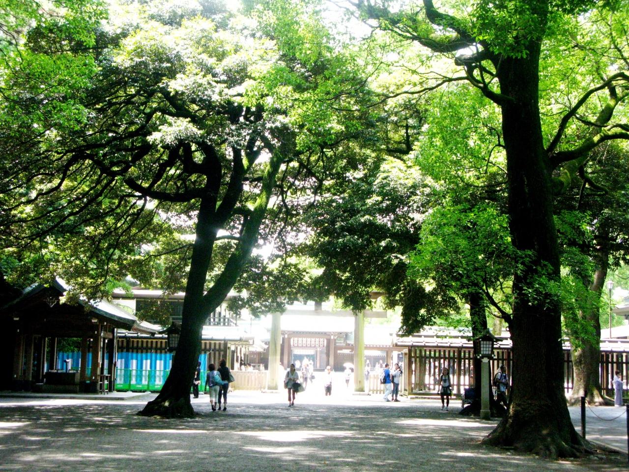 『明治神宮-1 南参道から神宮本殿を参拝 ☆原宿から代々木へ』原宿(東京)の旅行記・ブログ by マキタン2さん【フォートラベル】