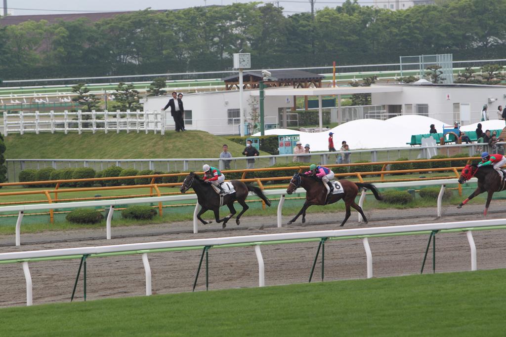 『函館競馬場』湯の川温泉(北海道)の旅行記・ブログ by ランドネットさん【フォートラベル】
