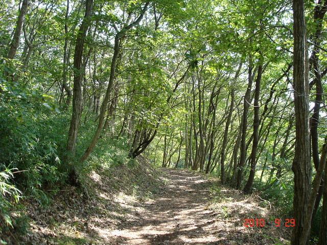 『秋を探して・・・[2010](1) 水郷県民の森編』潮来(茨城県)の旅行記・ブログ by 潮来メジロさん【フォートラベル】