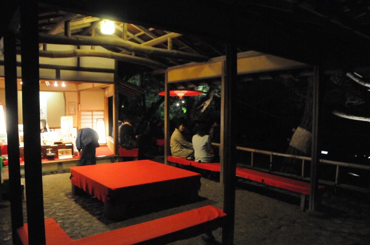 『六義園ライトアップ ハゼの木は紅葉の見頃 』大塚・巣鴨・駒込(東京)の旅行記・ブログ by どーもくんさん【フォートラベル】