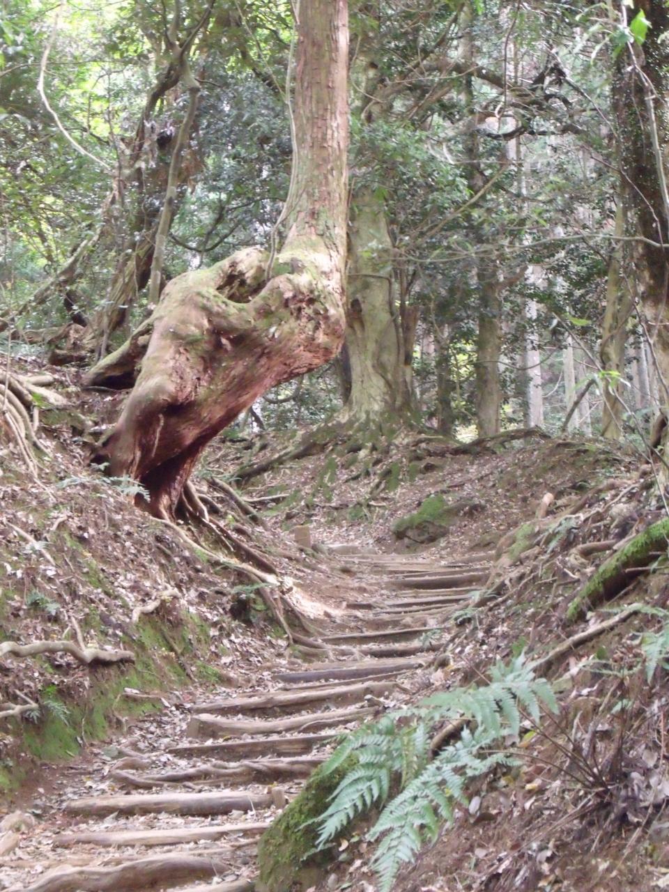 『貴船山～鞍馬山～哲学の道～永観堂漂流』八瀬・大原・貴船・鞍馬(京都)の旅行記・ブログ by midnightramblerさん【フォートラベル】