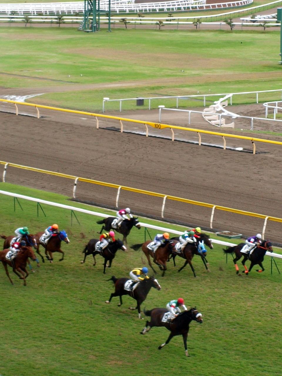 とんかつ政ちゃん」&「NIIGATA RACE COURSE」の旅＜新潟県新潟市中央区・北区 ＞』新潟市(新潟県)の旅行記・ブログ by ...