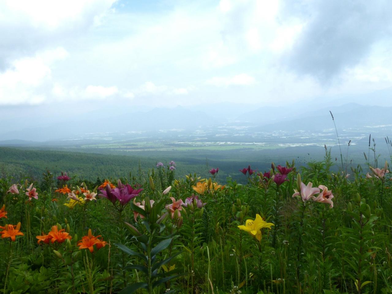 『清里・・涼しいところでのんびりしたい！』清里・八ヶ岳(山梨県)の旅行記・ブログ by くうさん【フォートラベル】