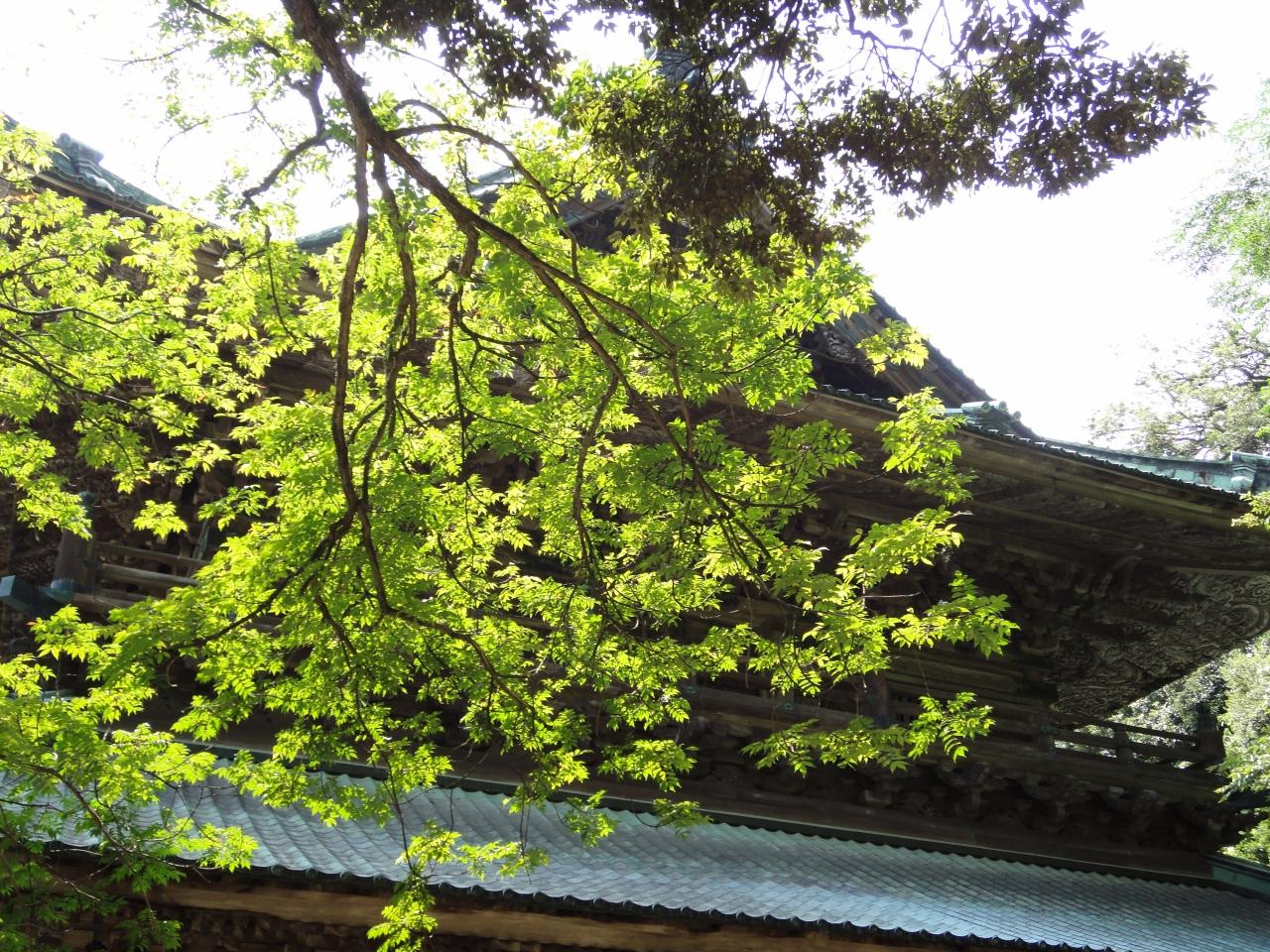 『しあわせさん こんぴらさん』琴平・金刀比羅宮周辺(香川県)の旅行記・ブログ by キティーさん【フォートラベル】