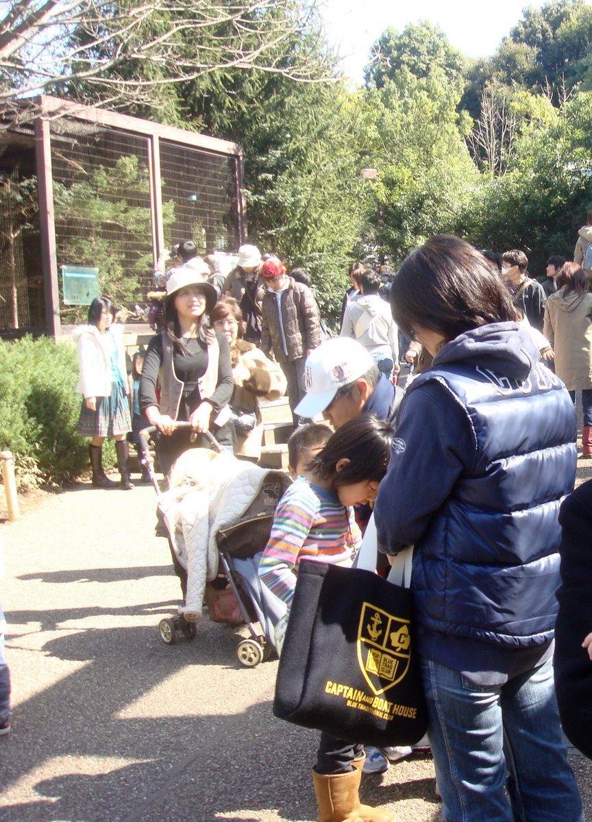 『期待はずれの動物園』港北・長津田・青葉(神奈川県)の旅行記・ブログ by docomoさん【フォートラベル】