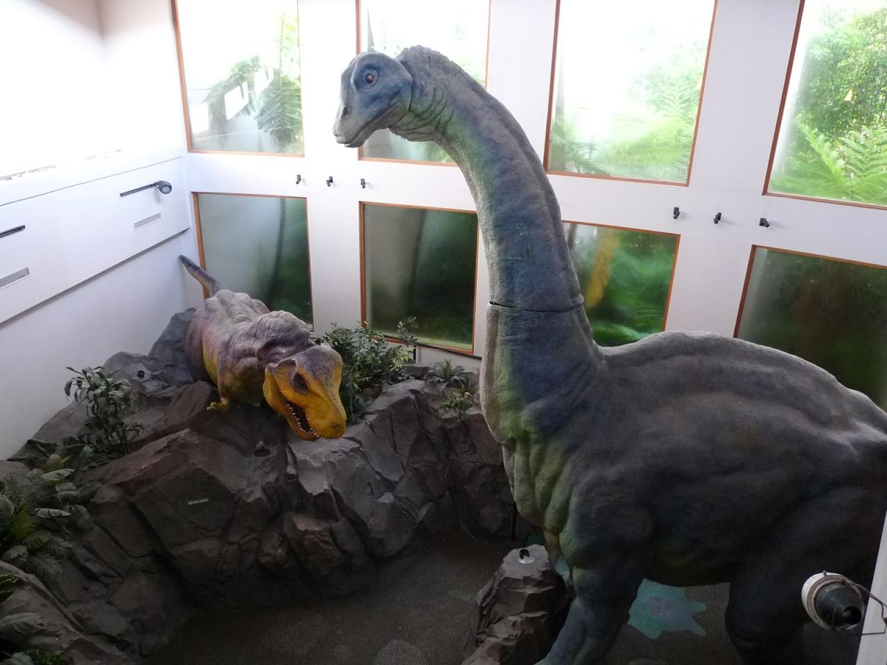 『JALで行く夏休みオーランド5泊② ～ユニバーサル・オーランド～』オーランド(アメリカ)の旅行記・ブログ by りいいさん【フォートラベル】