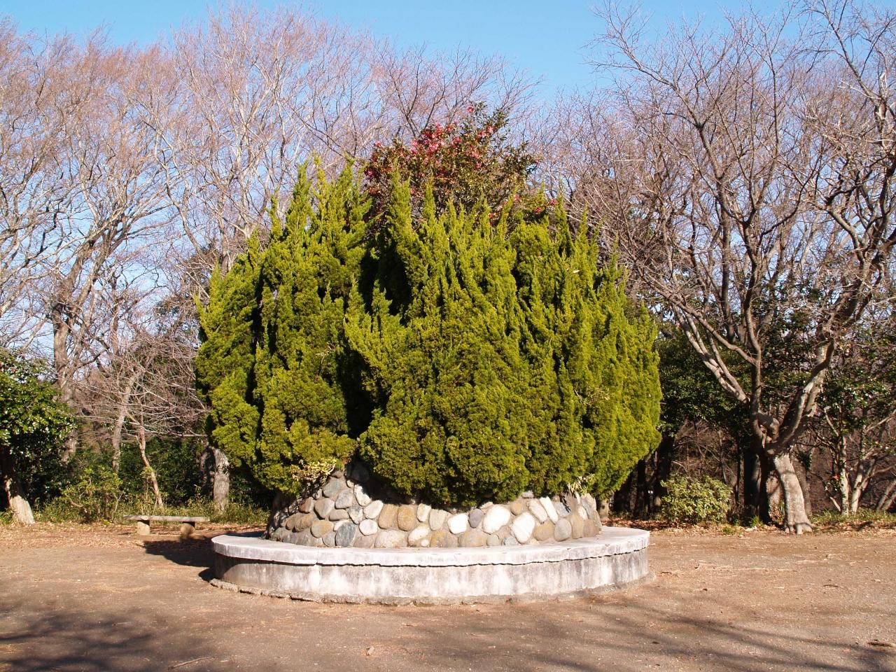 『葛原ヶ岡ハイキングコース』鎌倉(神奈川県)の旅行記・ブログ by ドクターキムルさん【フォートラベル】