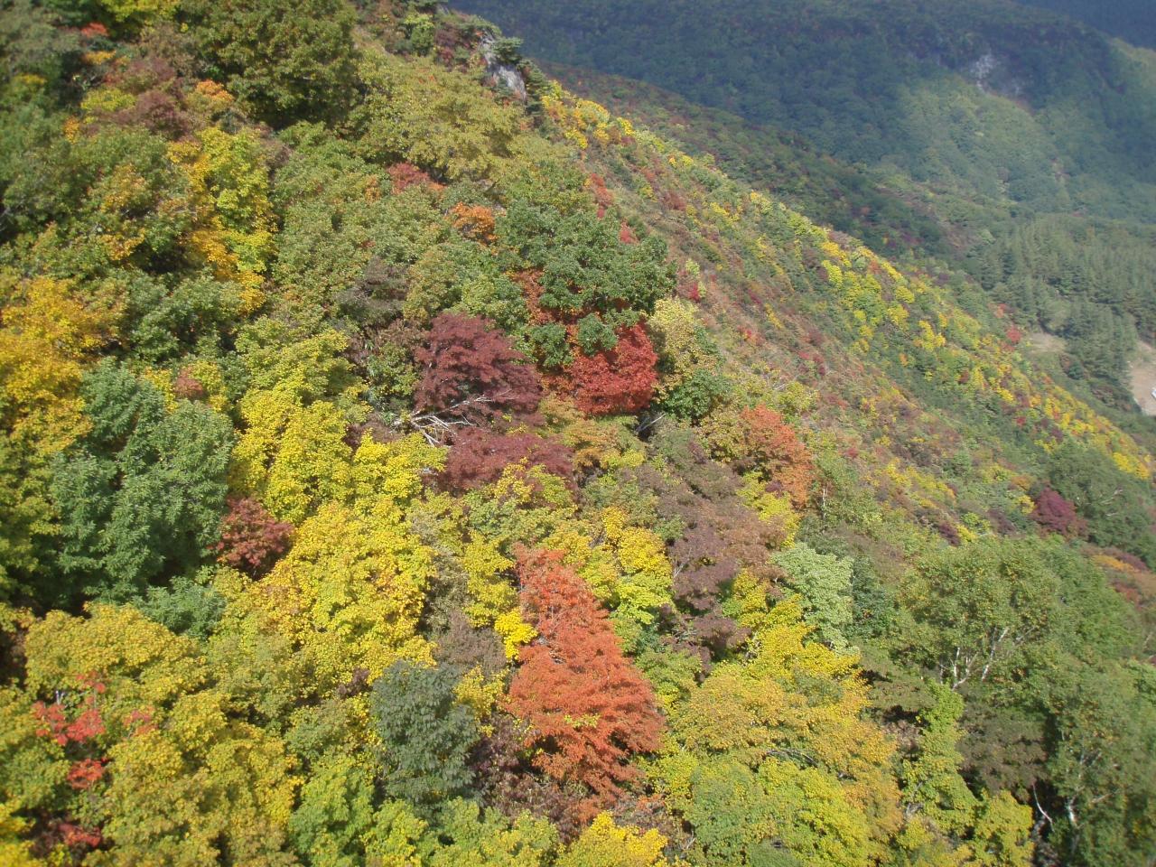 『2011 福島紅葉紀行』福島県の旅行記・ブログ by batfishさん【フォートラベル】
