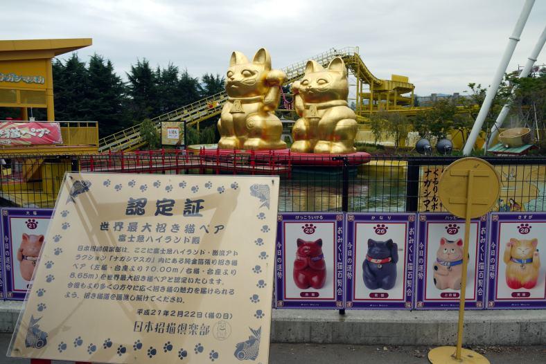 『長男のお友達と一緒に富士急ハイランド日帰り旅行』富士吉田(山梨県)の旅行記・ブログ by ミシマさん【フォートラベル】