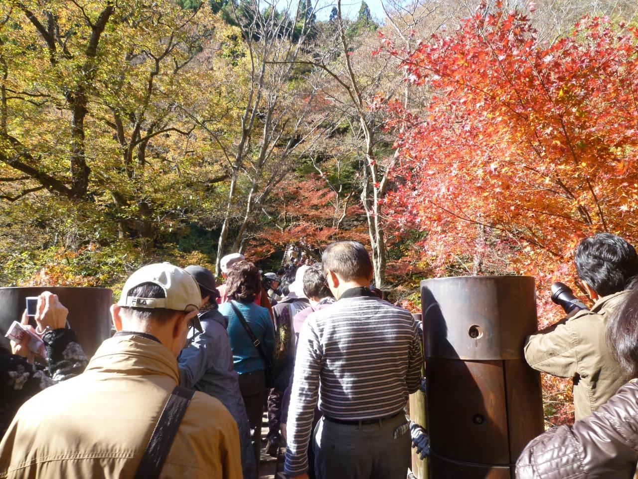 『花貫渓谷・竜神峡・・紅葉がやっと見ごろ・・でも。。』茨城県の旅行記・ブログ by くうさん【フォートラベル】