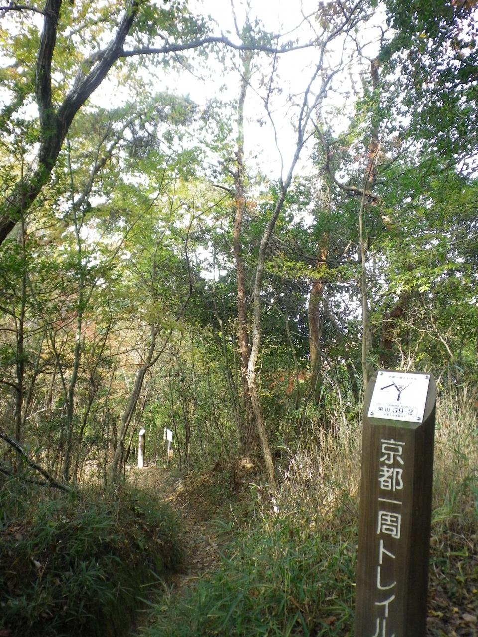 『京都一周トレイル 東山コース その4 紅葉の比叡めざして』東山・祇園・北白川(京都)の旅行記・ブログ by はんなりさん【フォートラベル】