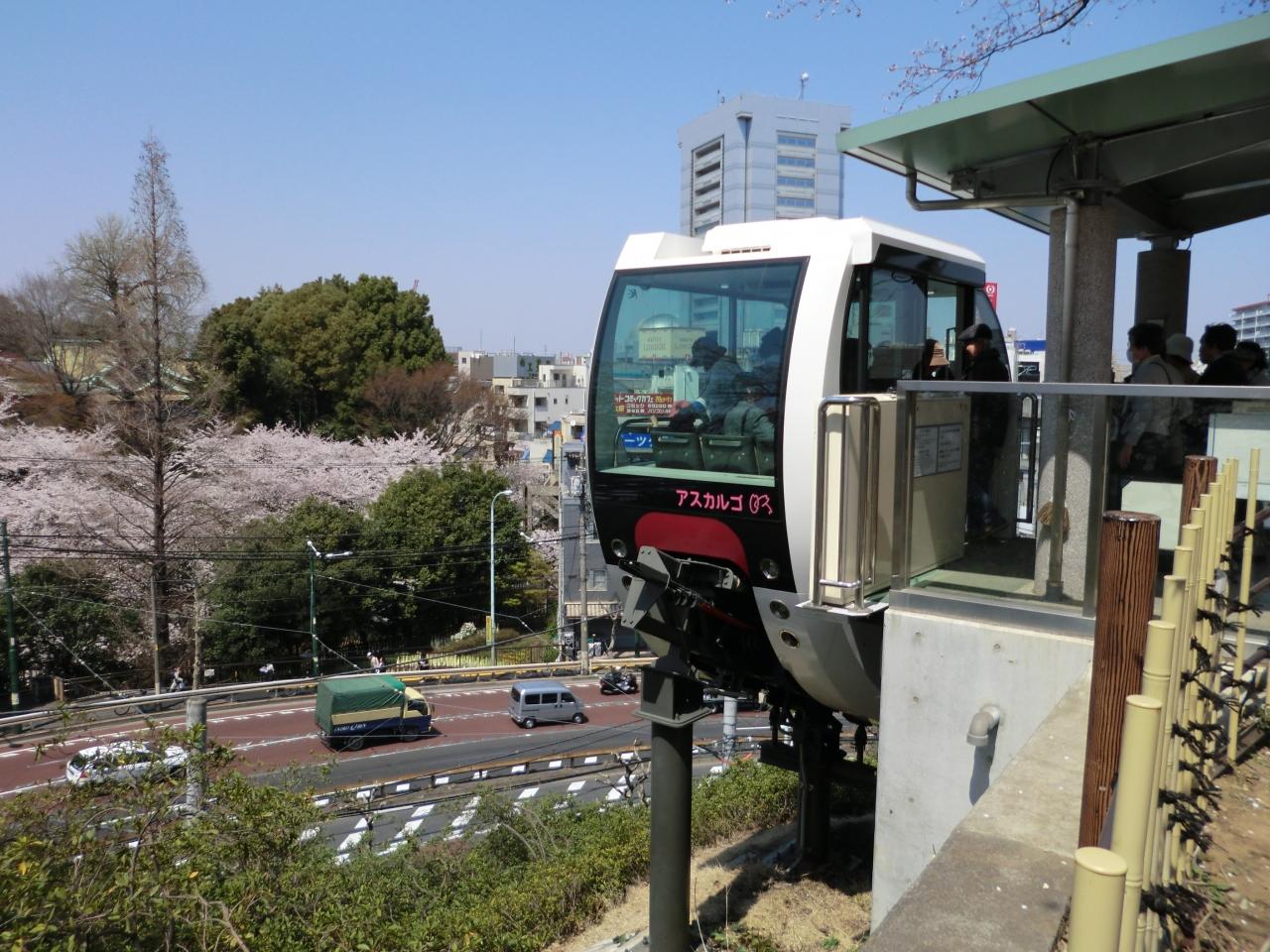 『飛鳥山公園の桜』王子・十条(東京)の旅行記・ブログ by YOSHITOさん【フォートラベル】
