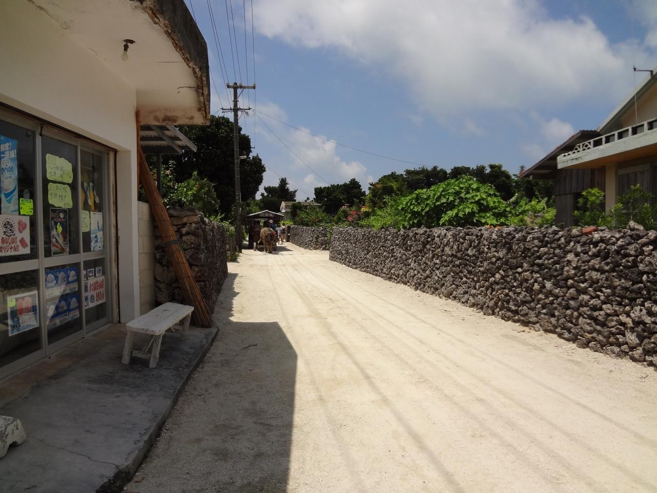 『亜熱帯でワクワク旅。ハードスケジュール欲張り沖縄道中記 那覇～離島まで ②』西表島(沖縄県)の旅行記・ブログ by kirari18gou ...