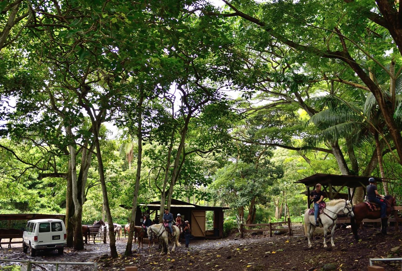 『ハワイ島旅行記（前半）～ワイピオ渓谷・サンライズツアー・サウスポイント』ハワイ島(ハワイ)の旅行記・ブログ by romaneeさん ...