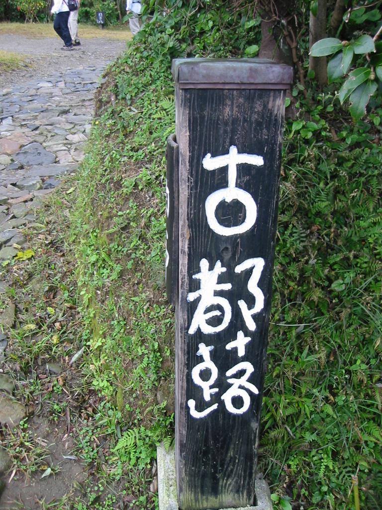 『2004年 屋久島』屋久島(鹿児島県)の旅行記・ブログ by オリーブさん【フォートラベル】